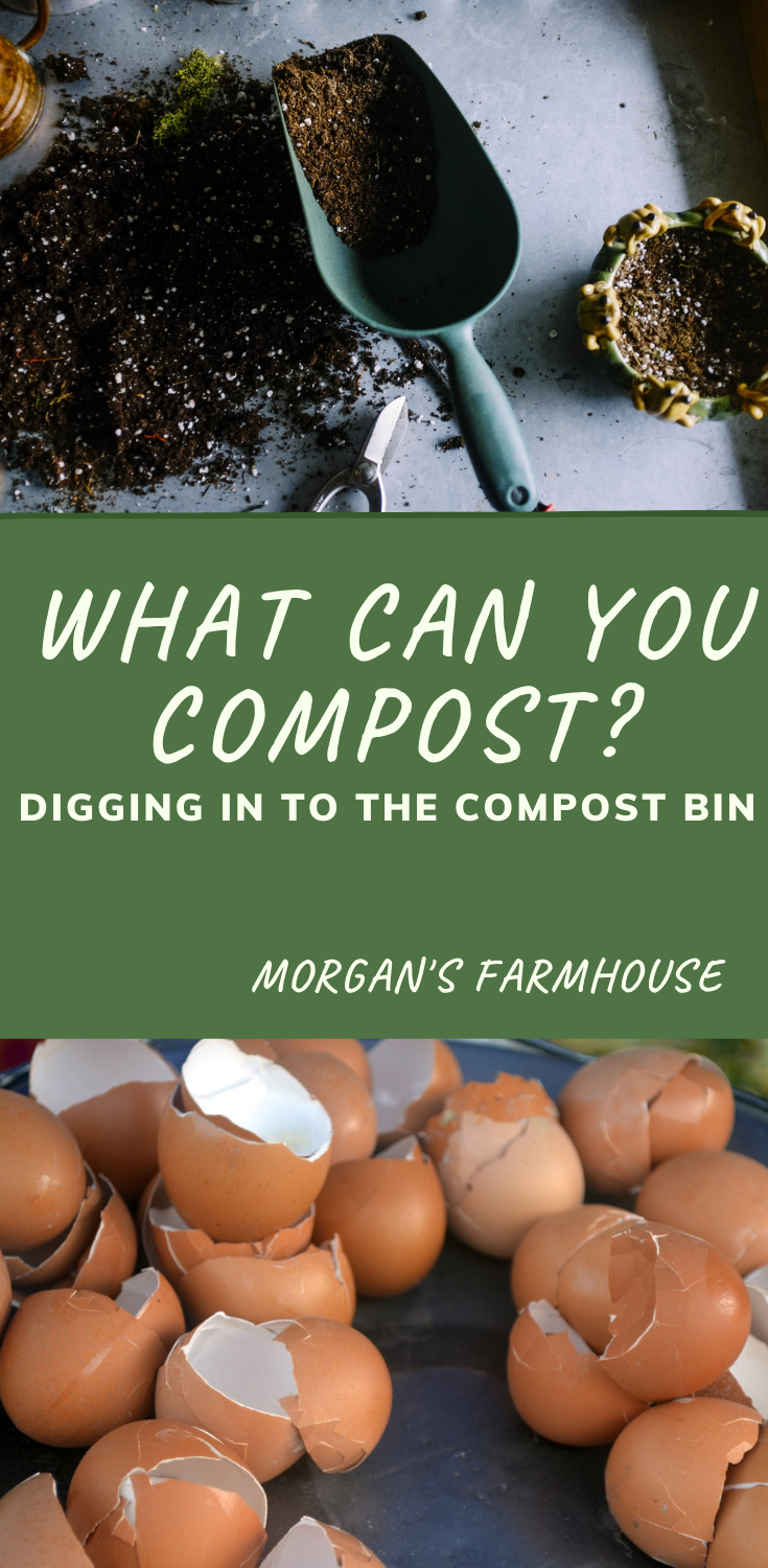 What Can You Put in the Compost? - Morgan's Farmhouse