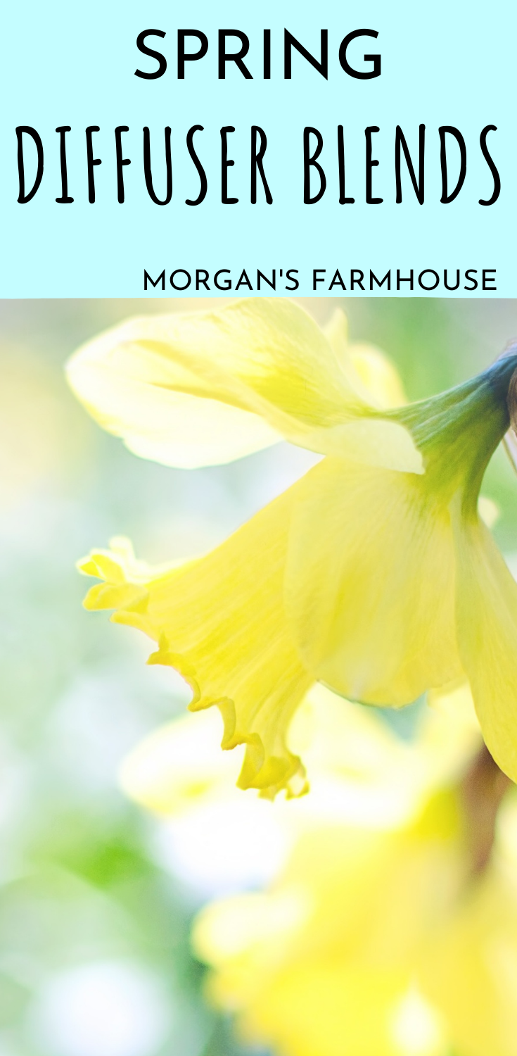 Spring Diffuser Blends - Morgan's Farmhouse