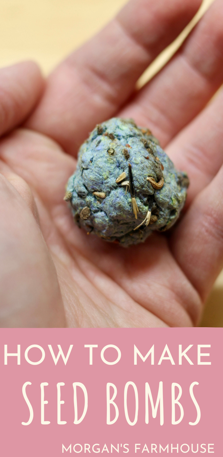 How to Make Seed Bombs with Paper - Morgan's Farmhouse