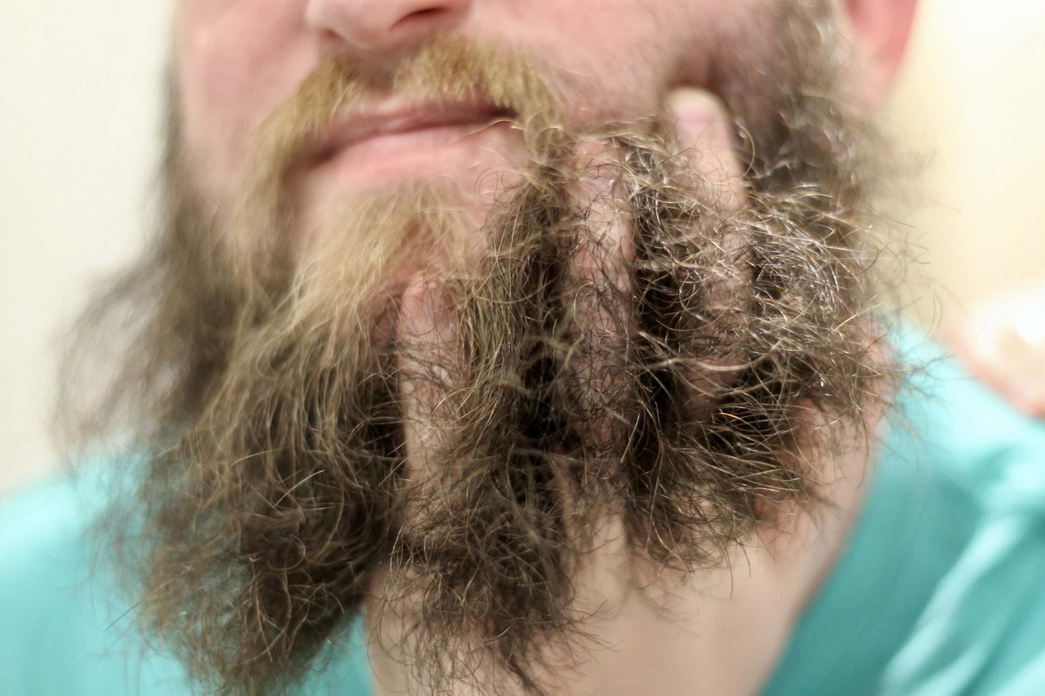Homemade Beard Oil - Morgan's Farmhouse