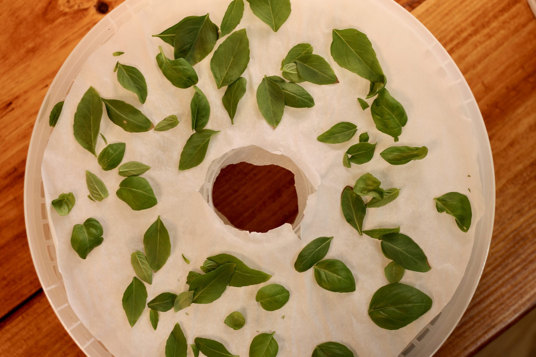 Dehydrating for Beginners - Morgan's Farmhouse
