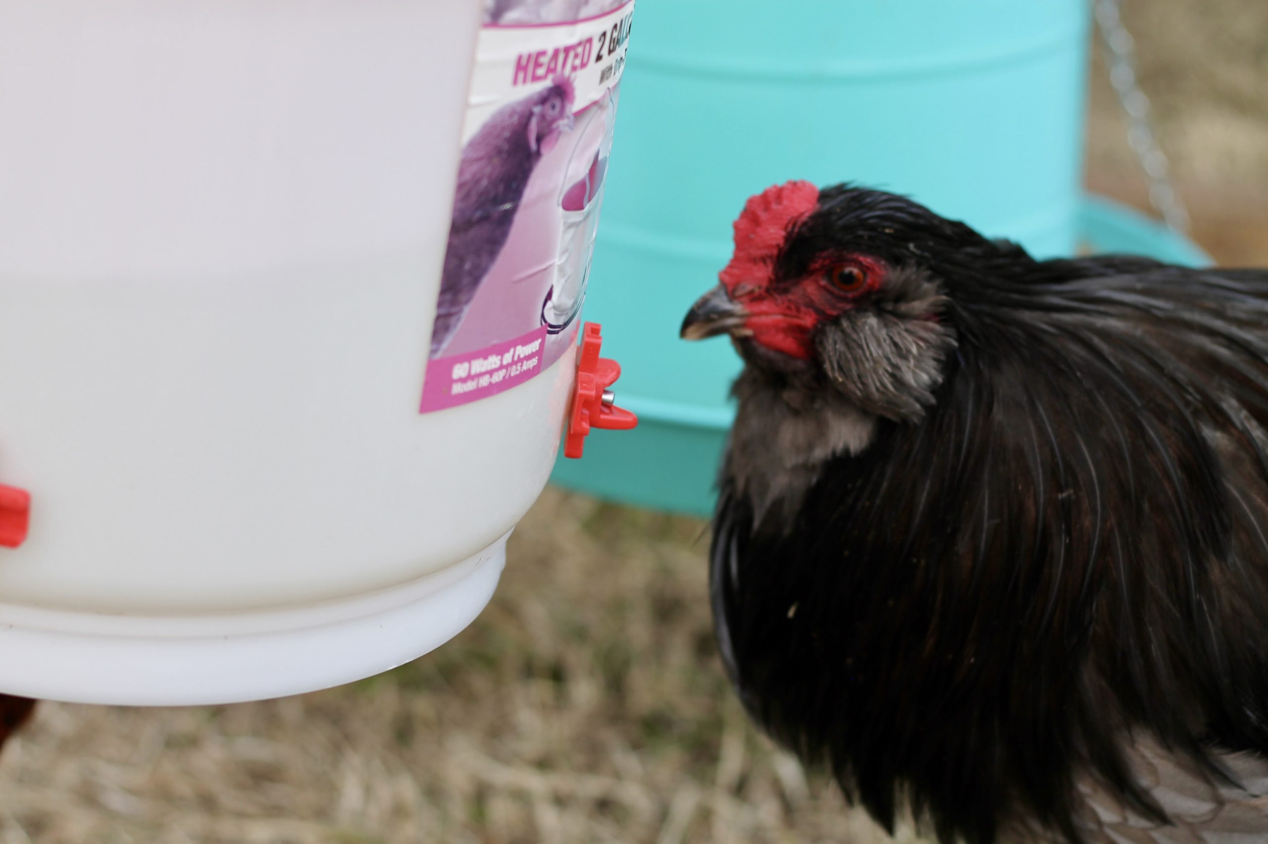 Homestead Reset Routine - Morgan's Farmhouse