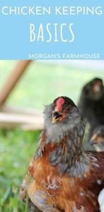 Chicken Keeping Basics - Morgan's Farmhouse