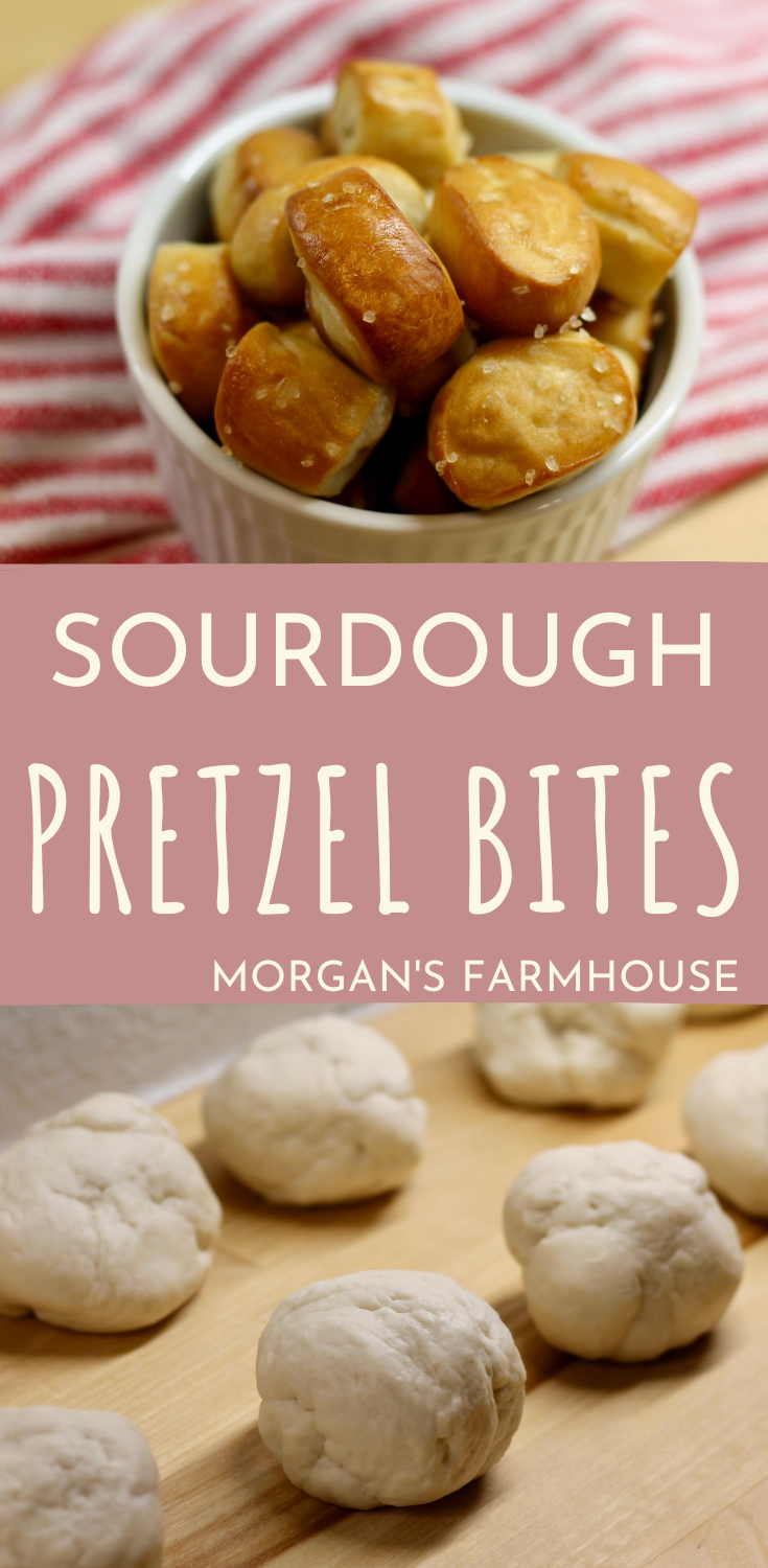Sourdough Pretzel Bites - Morgan's Farmhouse
