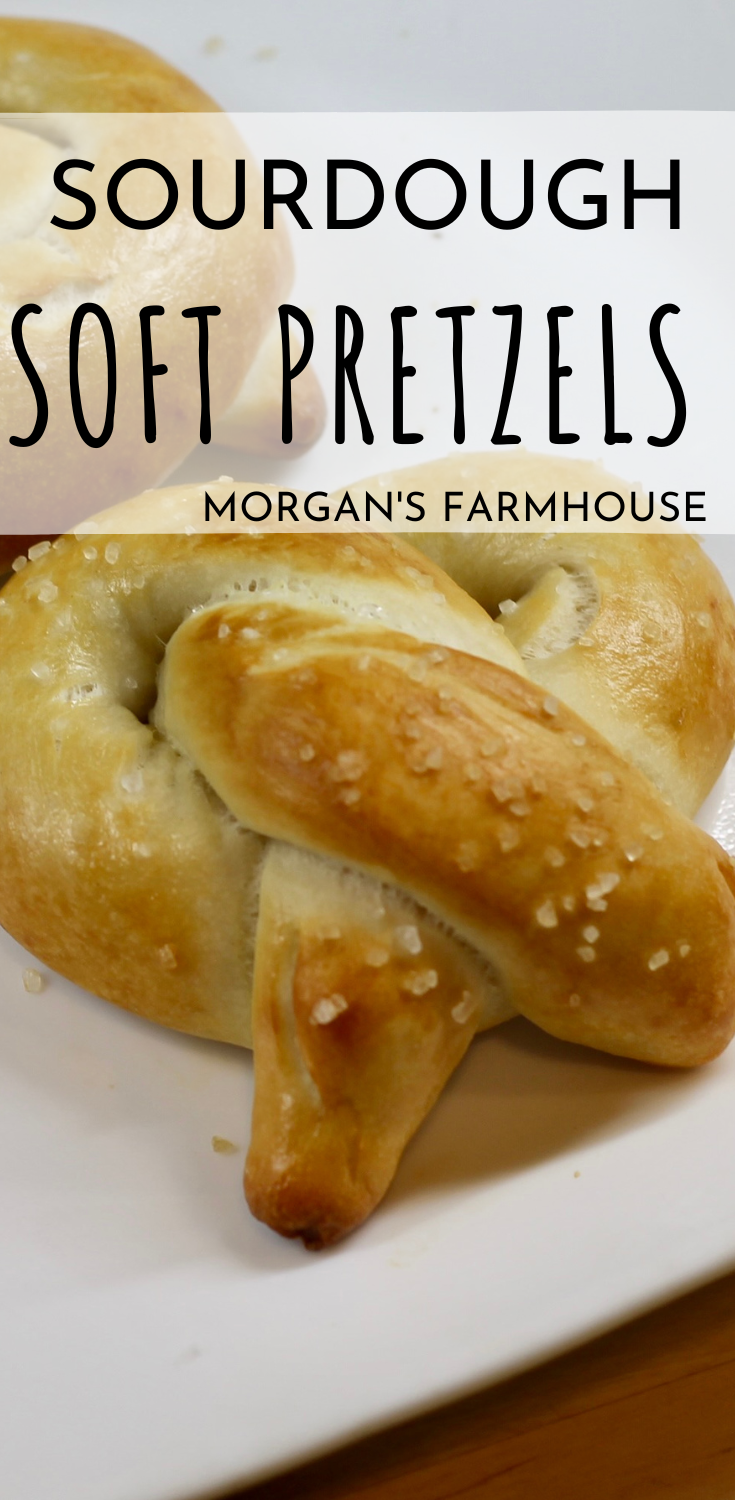 Sourdough Soft Pretzels - Morgan's Farmhouse