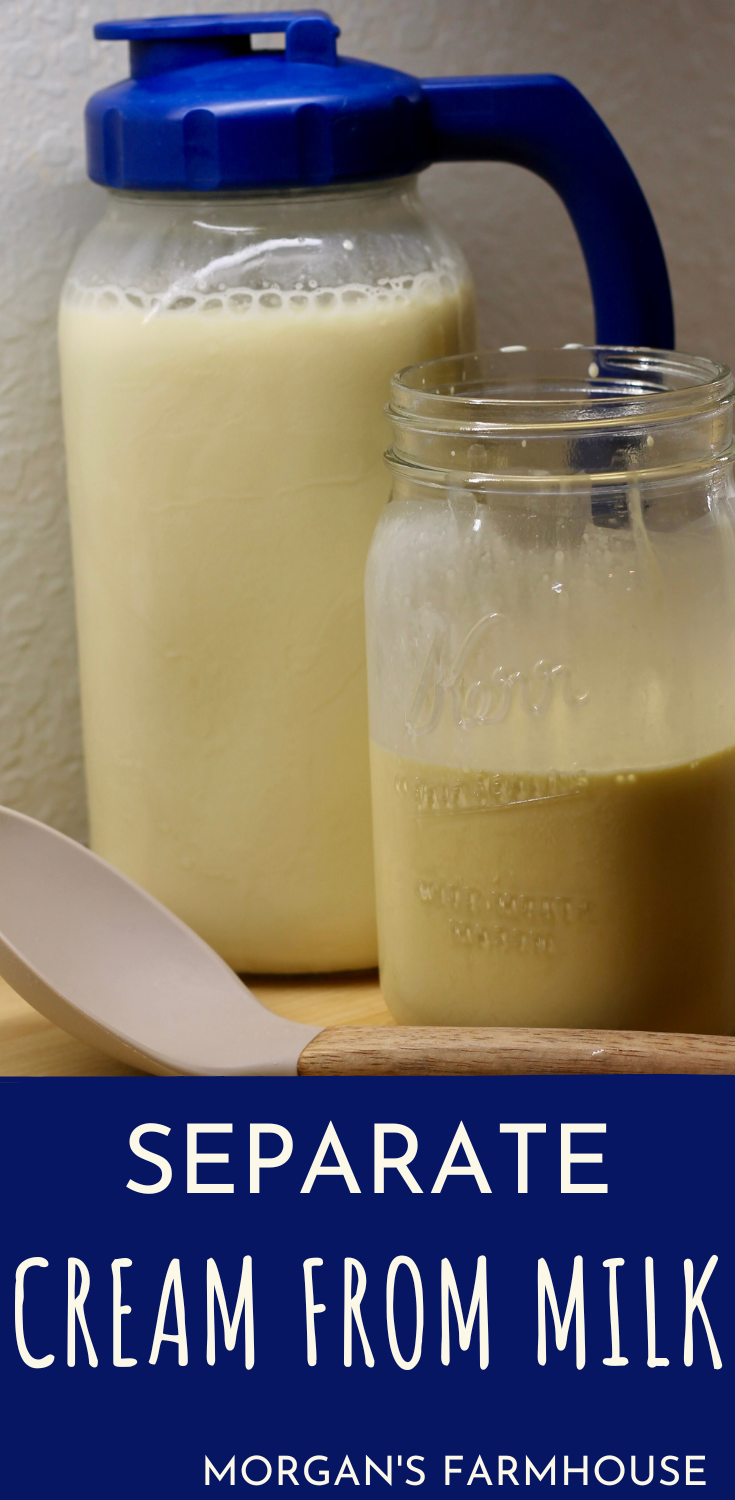 How to Separate Cream from Milk - Morgan's Farmhouse